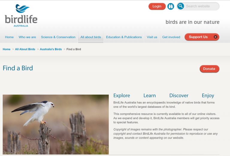 Find a bird — Birdlife Australia - Ecobits Australia
