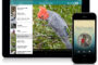 NatureMapr website and app - Ecobits Australia